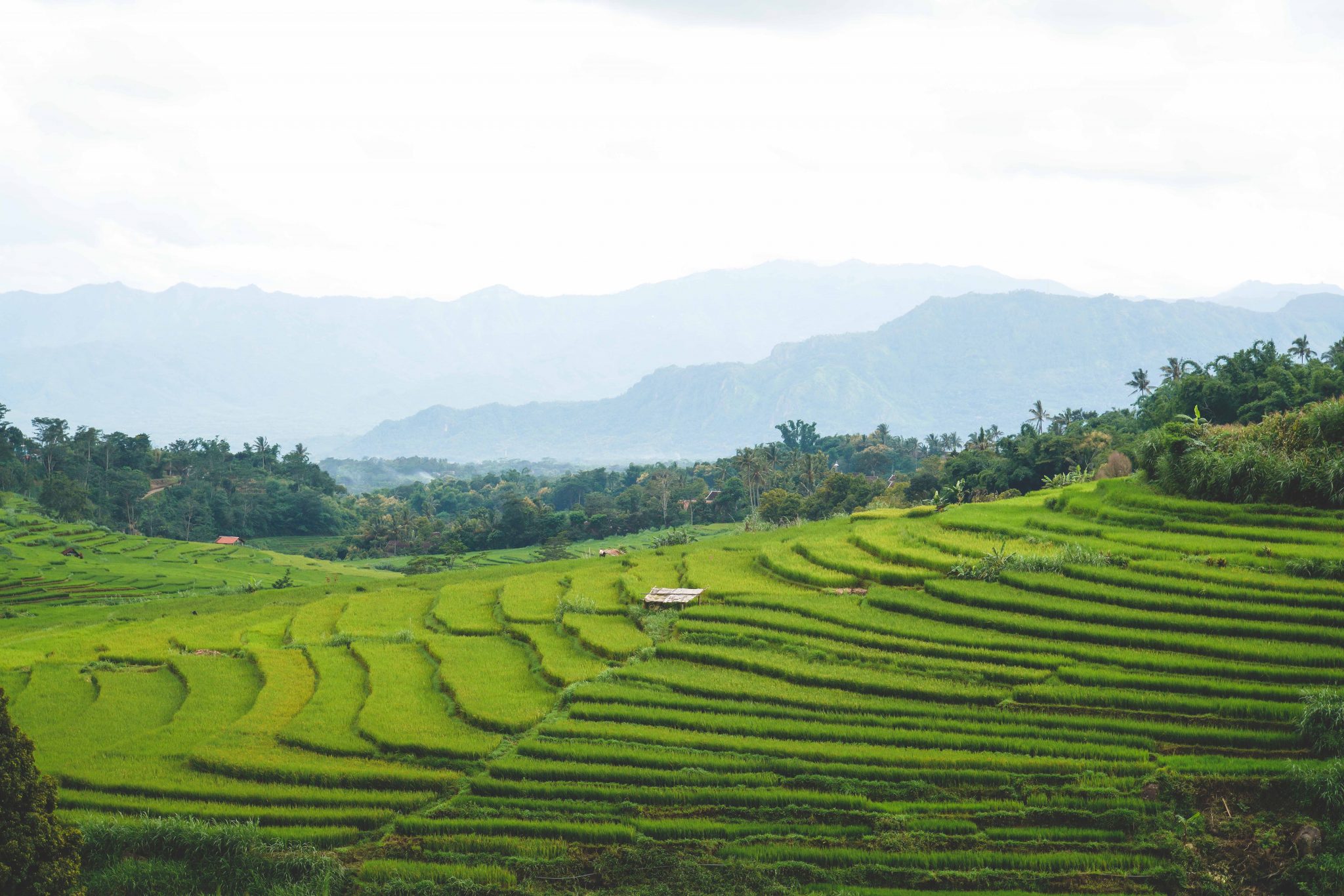 Beautiful Pictures of Wonogiri, Indonesia - Travel Tomorrow