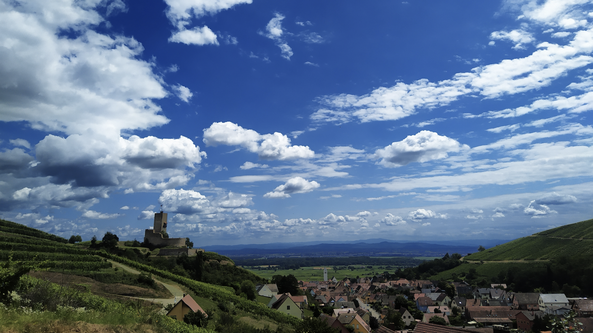 Palatinate: The land of ruins and castles - Travel Tomorrow