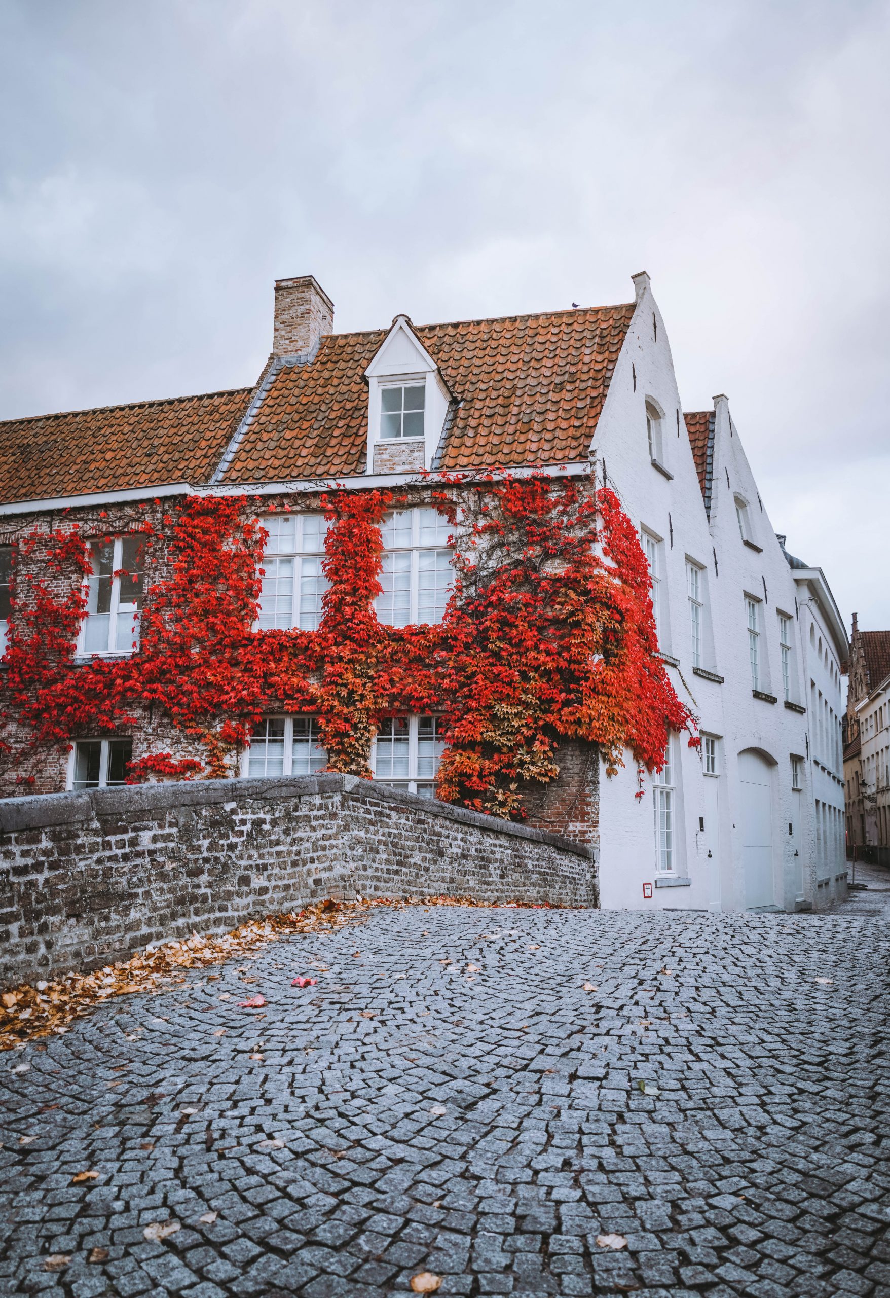 Autumn in Bruges - Travel Tomorrow