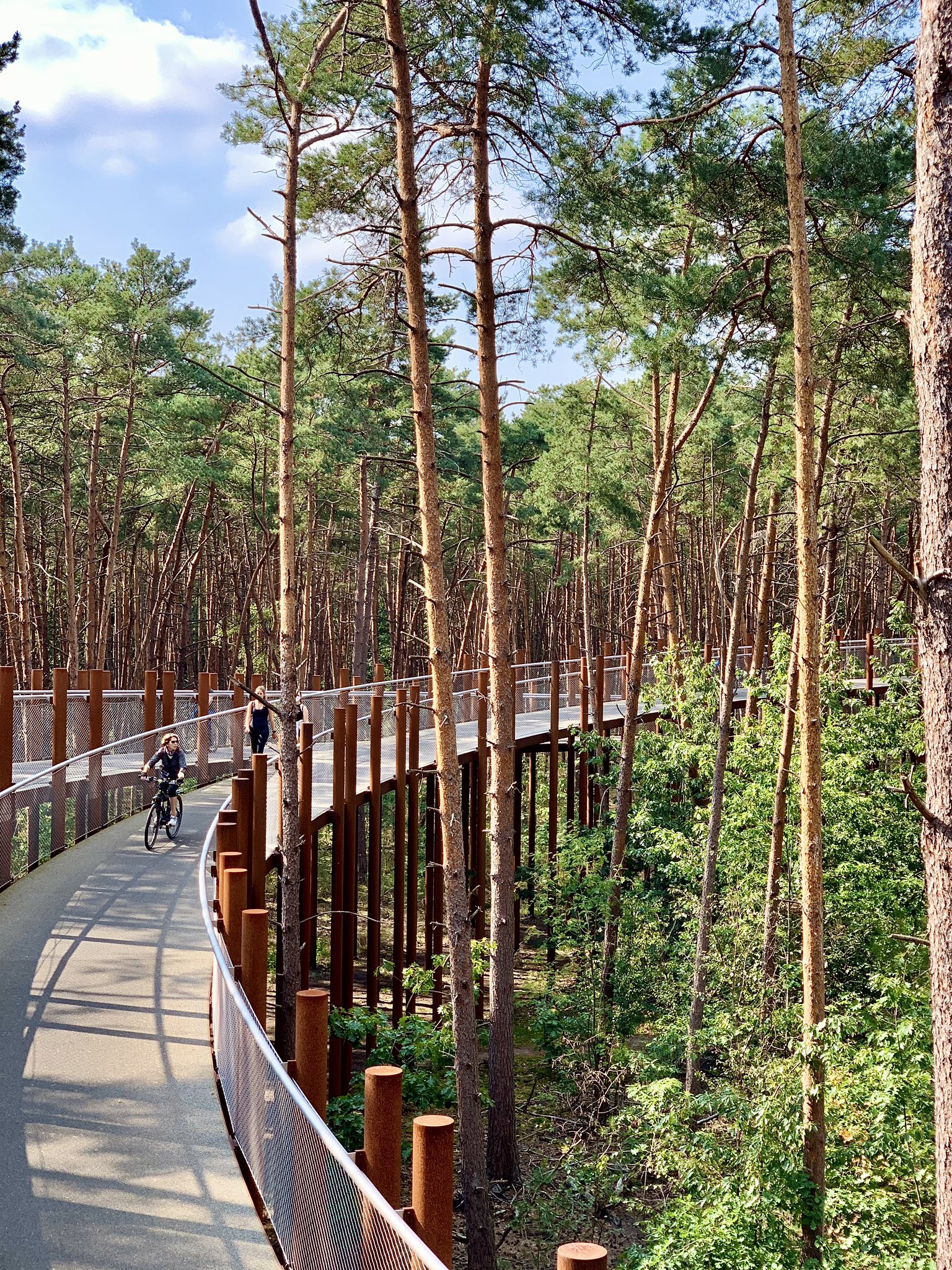 Cycle through the trees on this Belgian cycling route - Travel Tomorrow