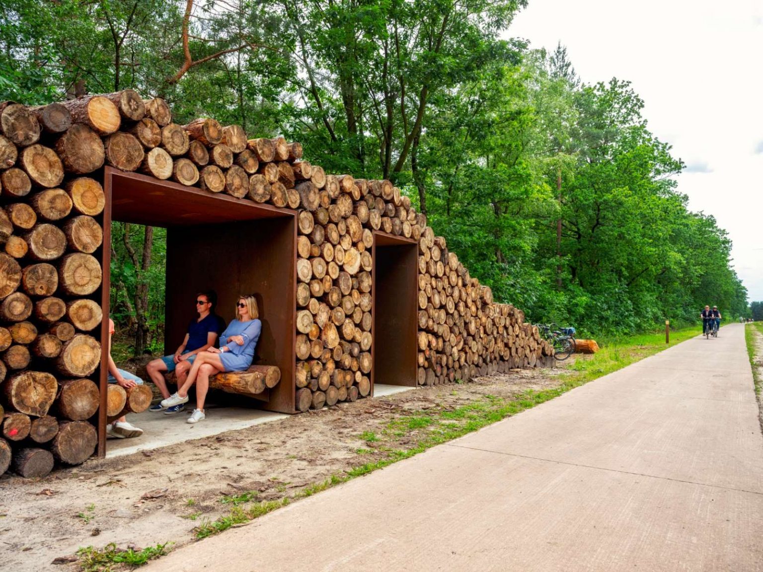 Cycle through the trees on this Belgian cycling route - Travel Tomorrow