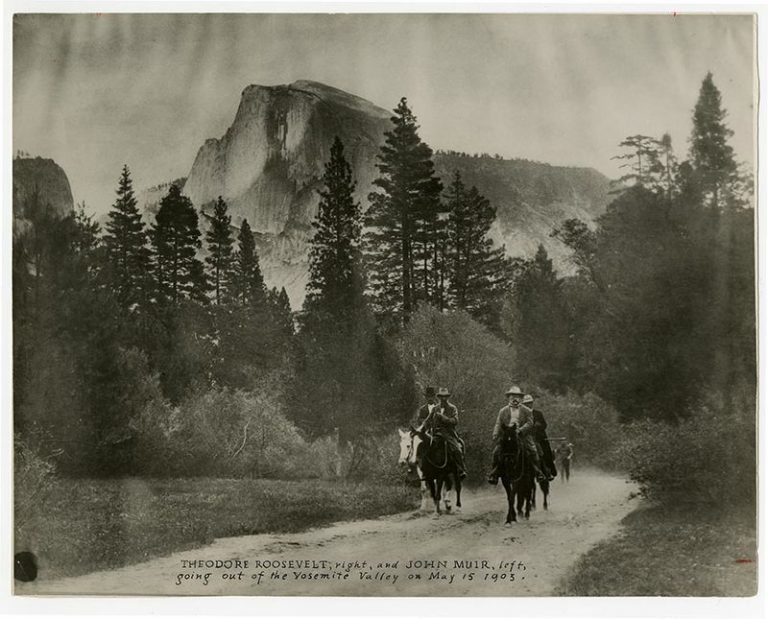John Muir. Father of the National Parks - Travel Tomorrow