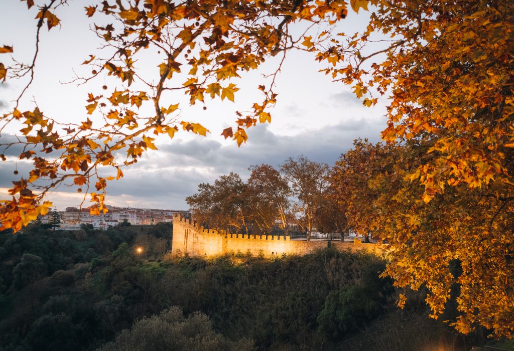 Braga Romana: revive Bracara Augusta - Travel Tomorrow