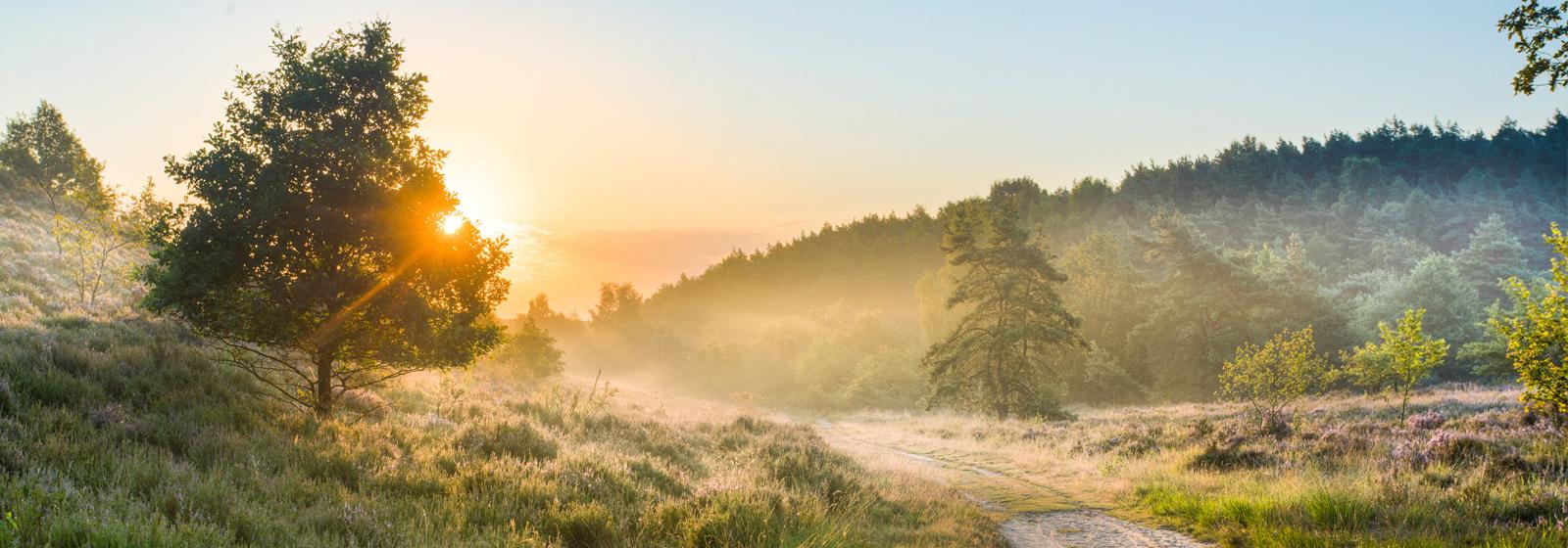 The European countries with the most nature reserves - Travel Tomorrow