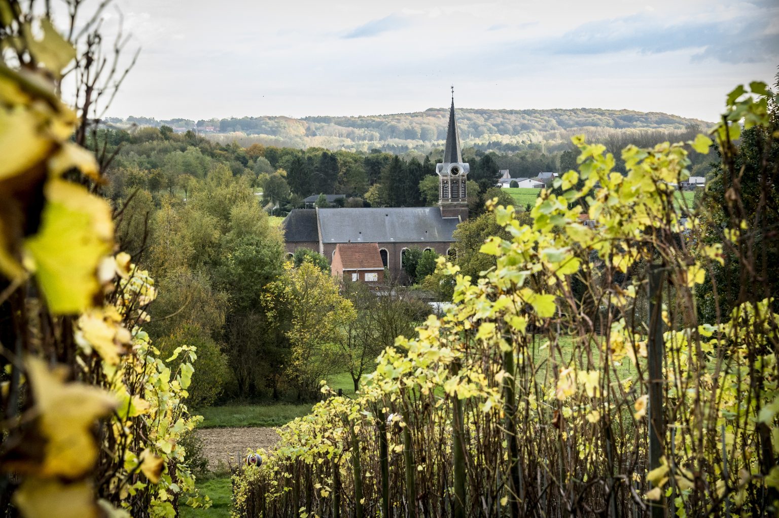 5 Walks through Hageland’s vineyards - Travel Tomorrow
