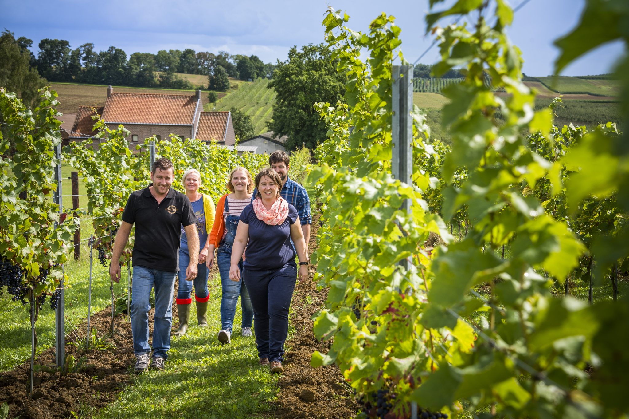 5 Walks through Hageland’s vineyards - Travel Tomorrow