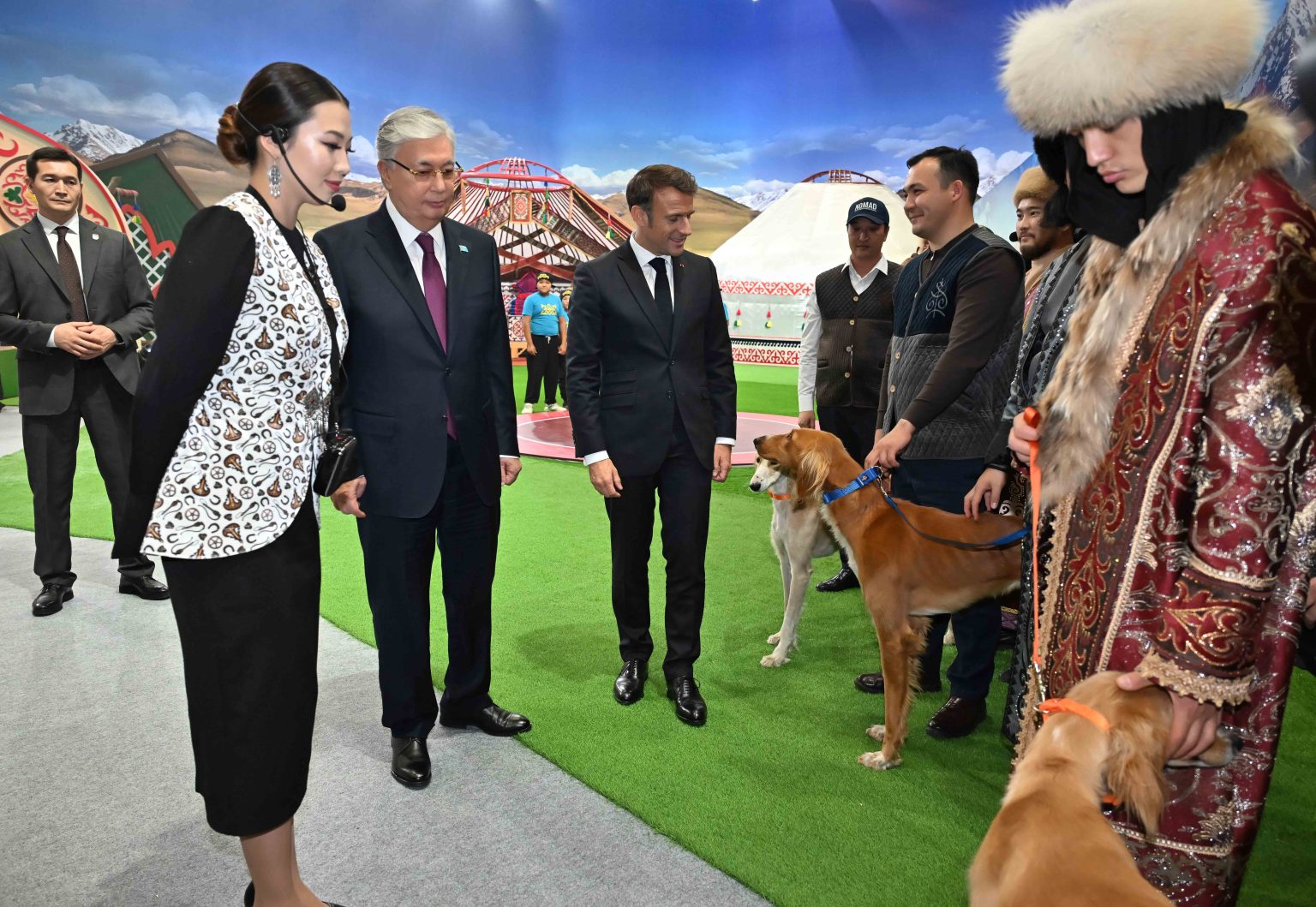 How Kazakh Tazy dogs were brought back from near extinction - Travel ...