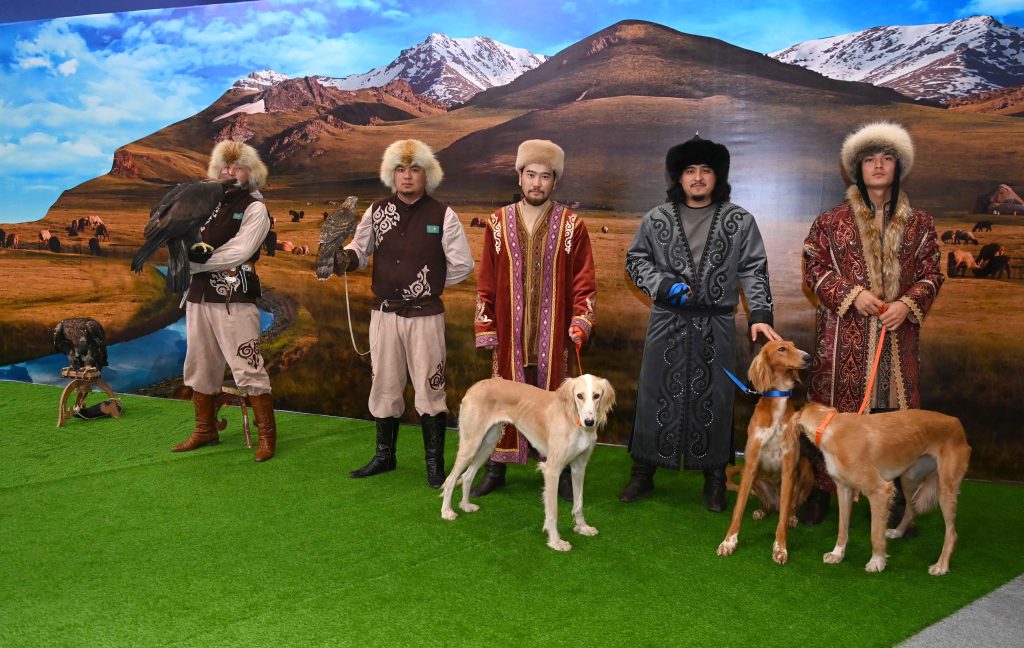 How Kazakh Tazy dogs were brought back from near extinction - Travel ...